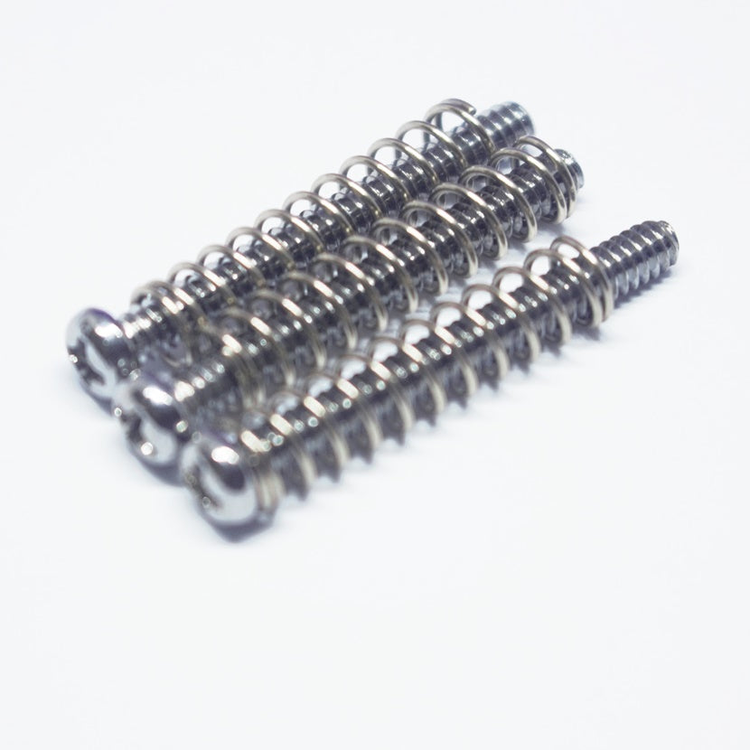 GS-119-SS - Intonation Screws & Springs For Telecaster - Stainless ...